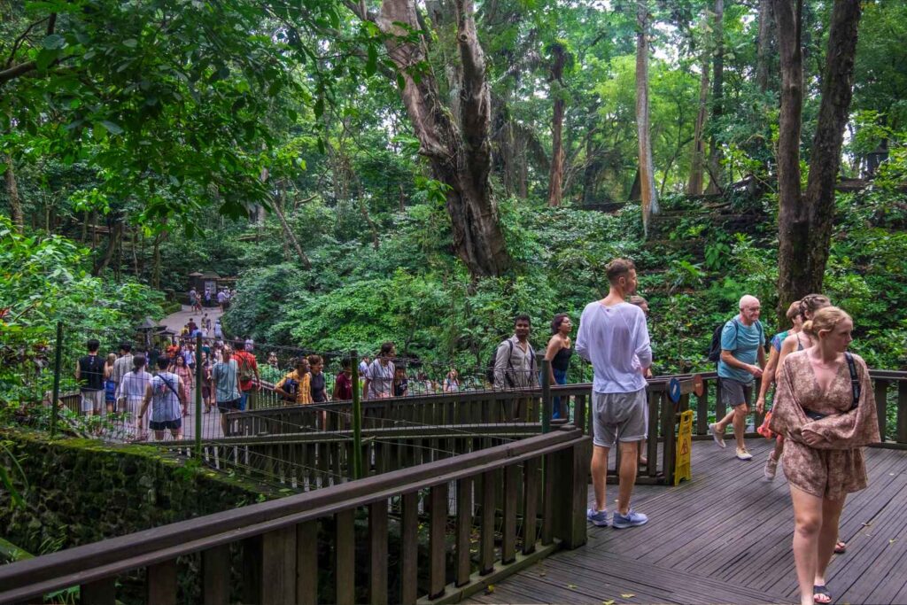 Monkey Forest Ubud: Tempat Bertemu Monyet Ekor Panjang dan Keindahan ...